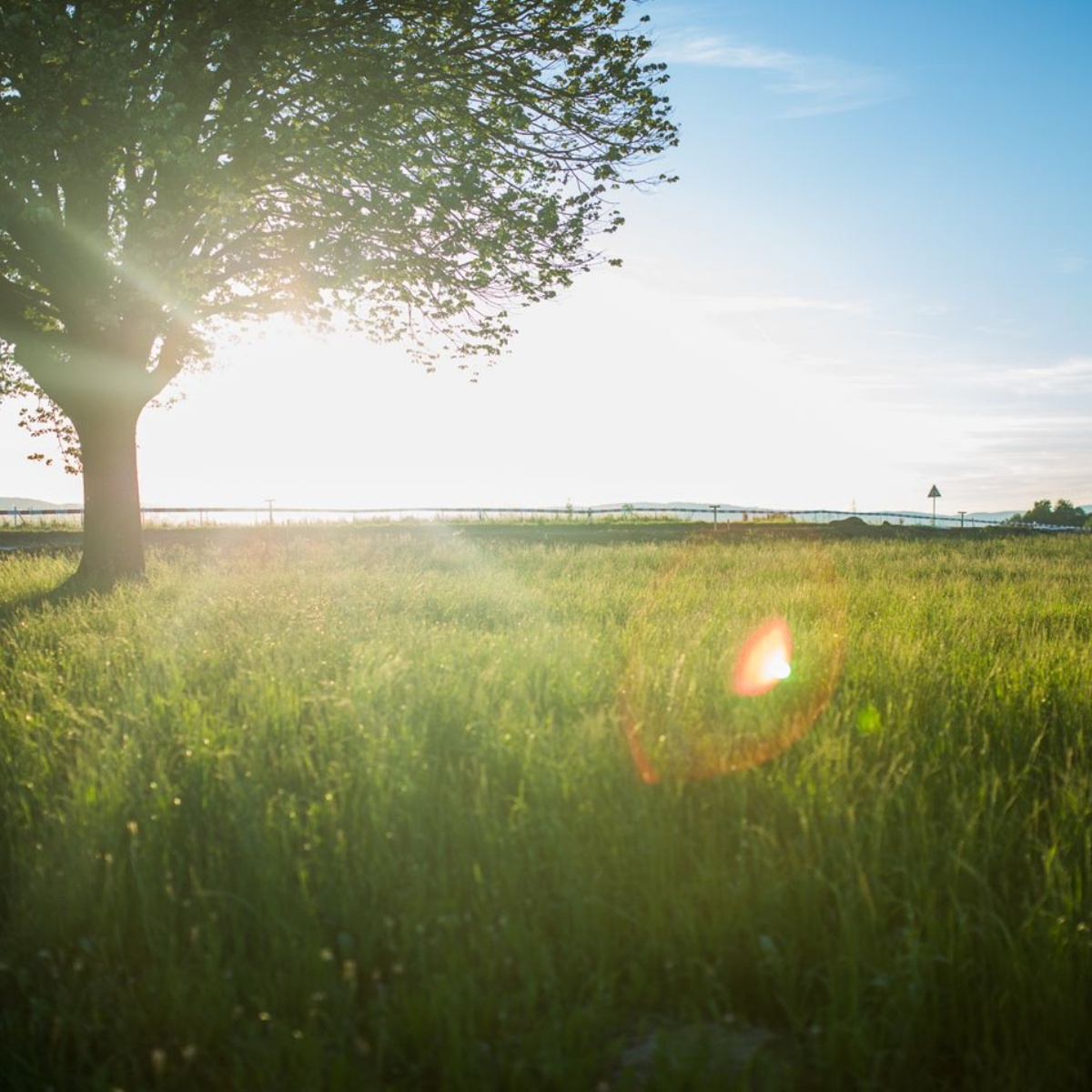 Preston Manor - First News Story